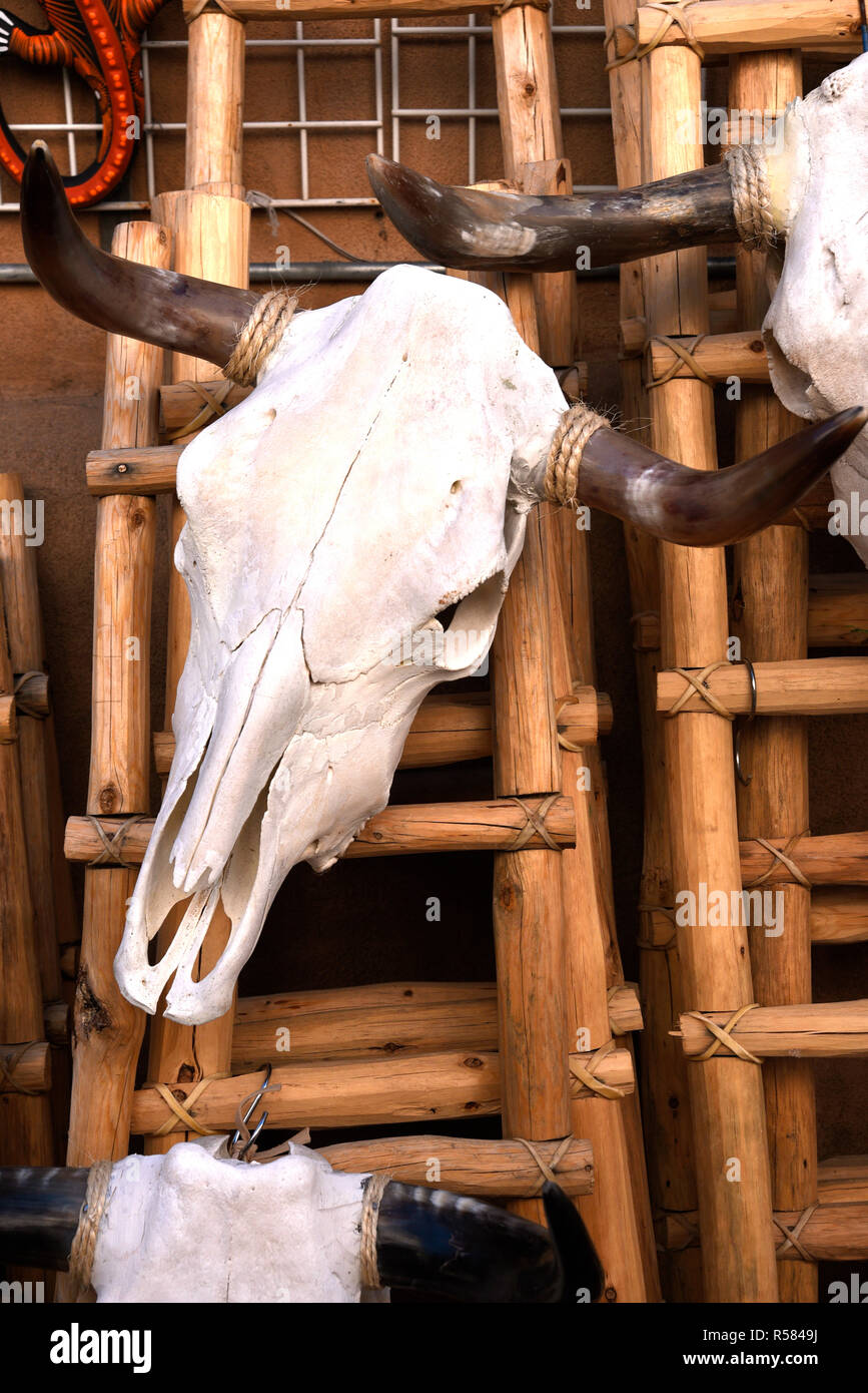 Cattle Skulls High Resolution Stock Photography and Images - Alamy