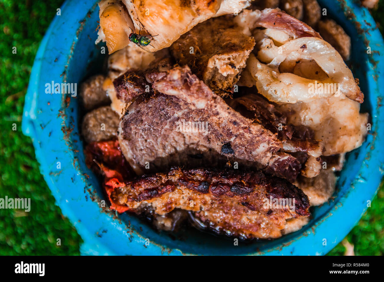 Rotten beef hi-res stock photography and images - Alamy