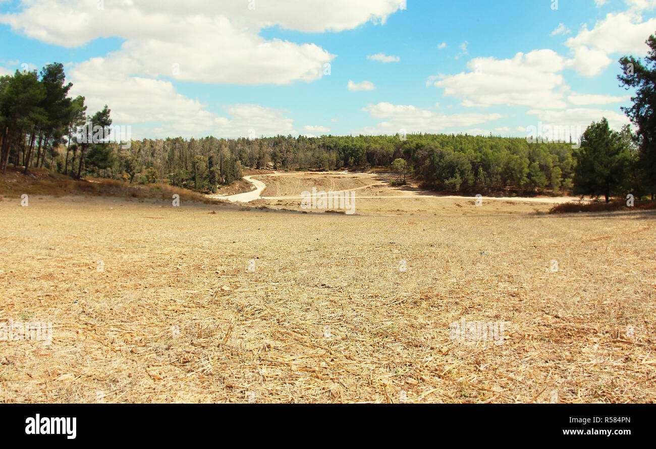 Rural area dirt road Stock Photo - Alamy