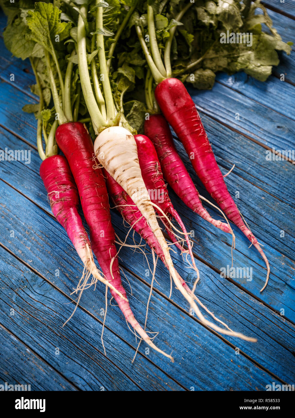 Bunch of fresh radish Stock Photo - Alamy