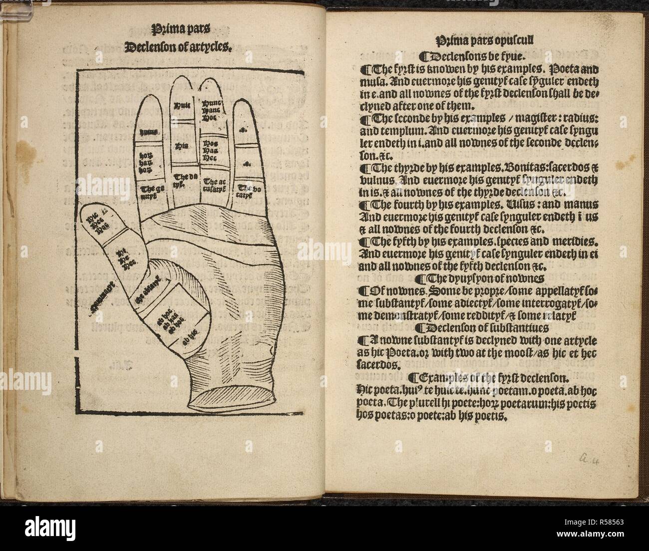 A diagram of a hand. Lac pueroï€Œ. M. holti Mylke for chyldren. A Latin ...
