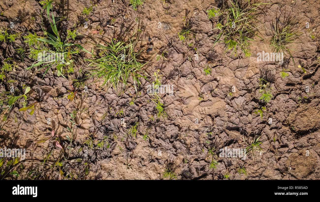 Texture of wet brown dirt mud Stock Photo - Alamy