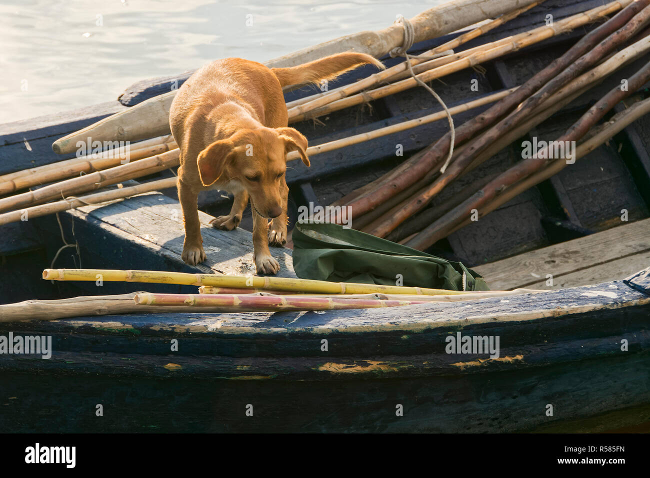 Shiny ship hi-res stock photography and images - Alamy
