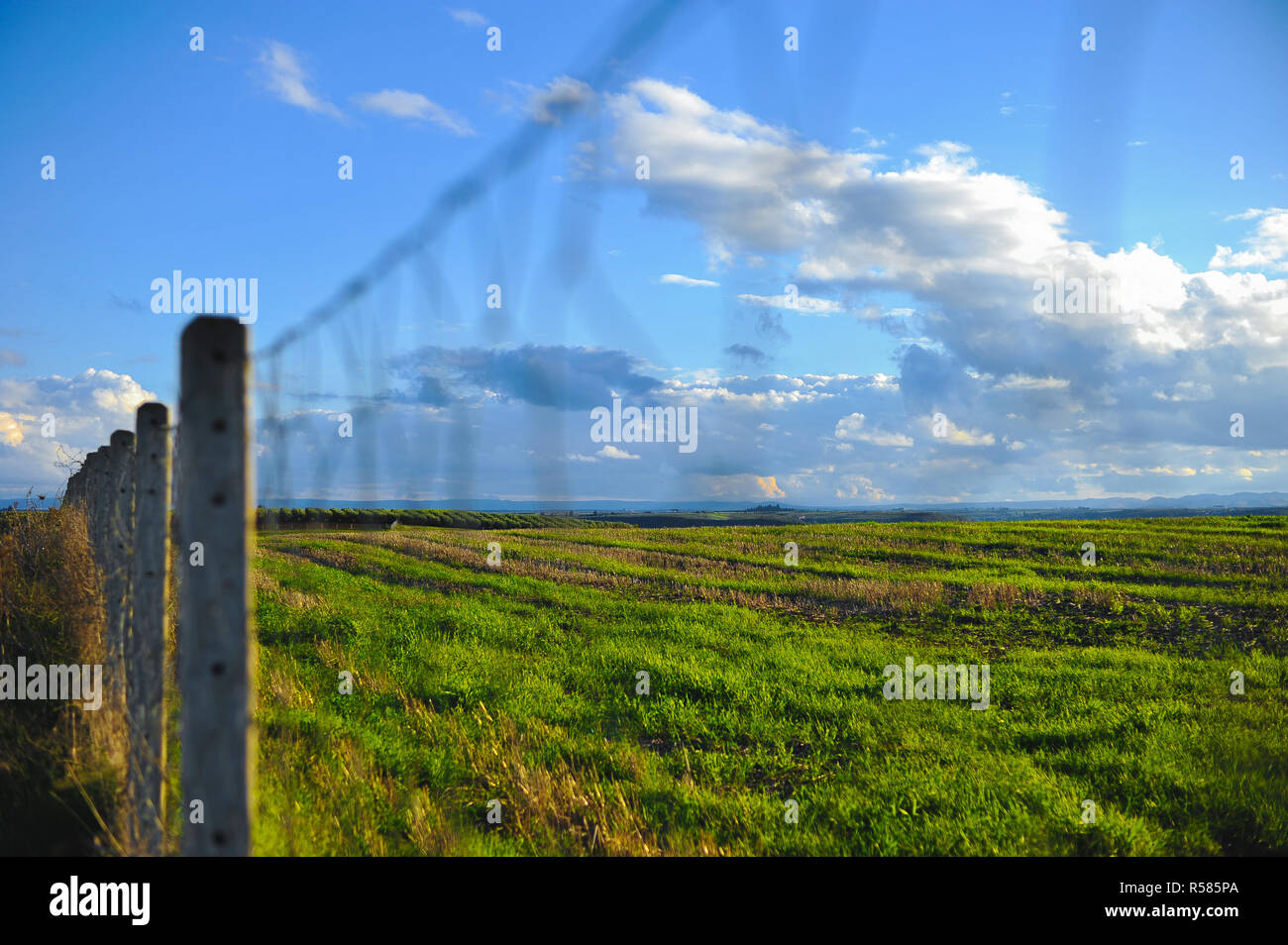 Mother nature backgrounds from morocco. Flowers and plants backgrounds ...
