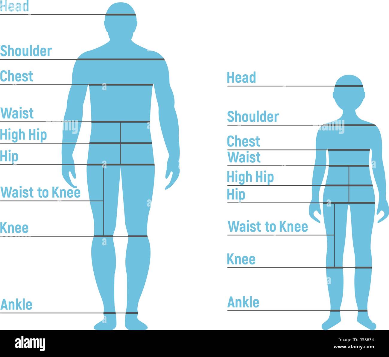 Man and Boy Size Chart. Human front side Silhouette. Isolated on White ...