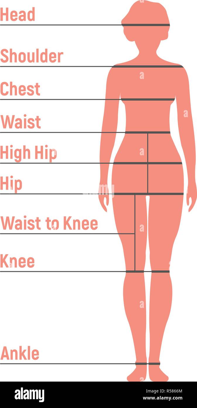 Woman Size Chart Human Front Side Silhouette Isolated On White