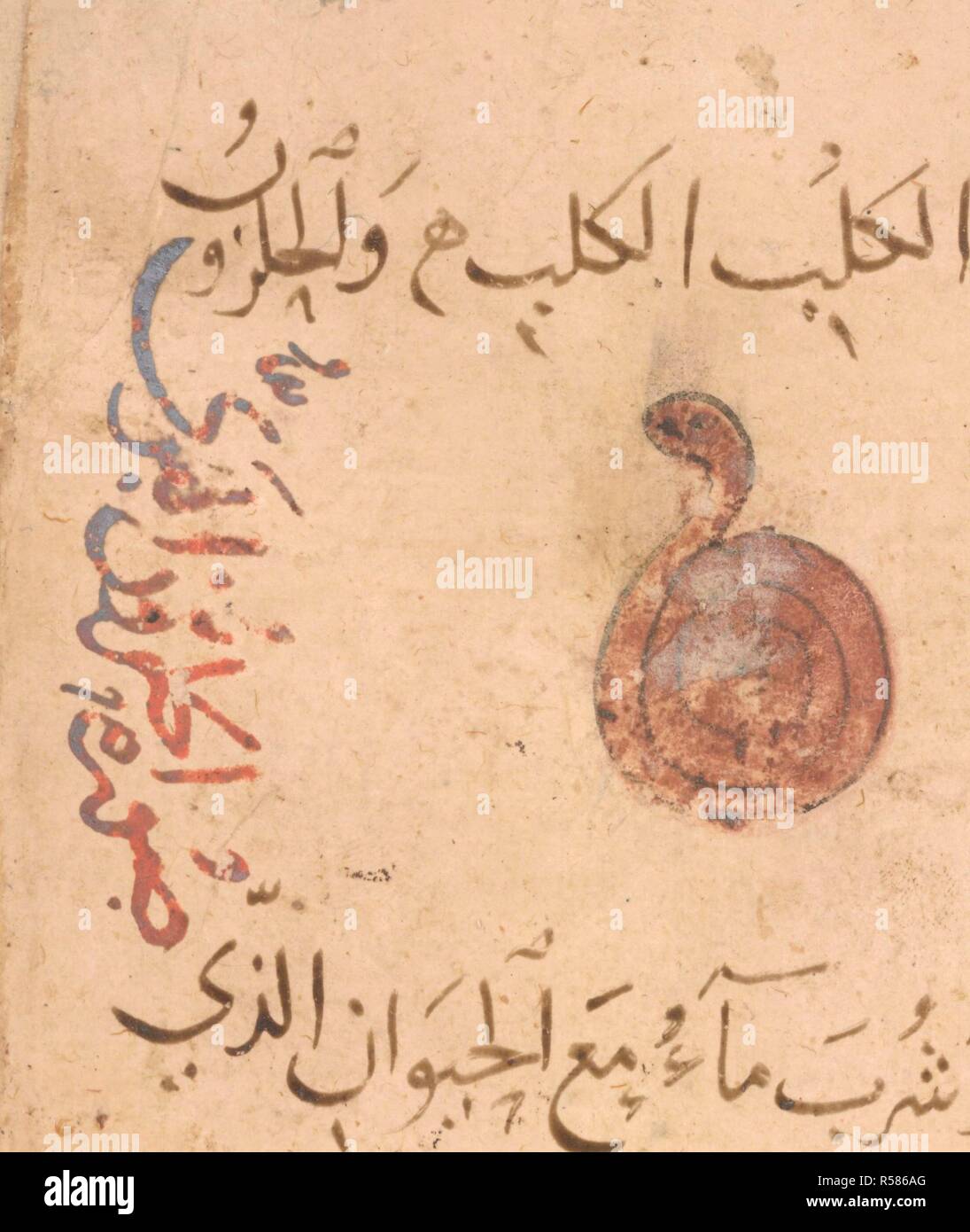 Kitab al hayawan hi-res stock photography and images - Alamy