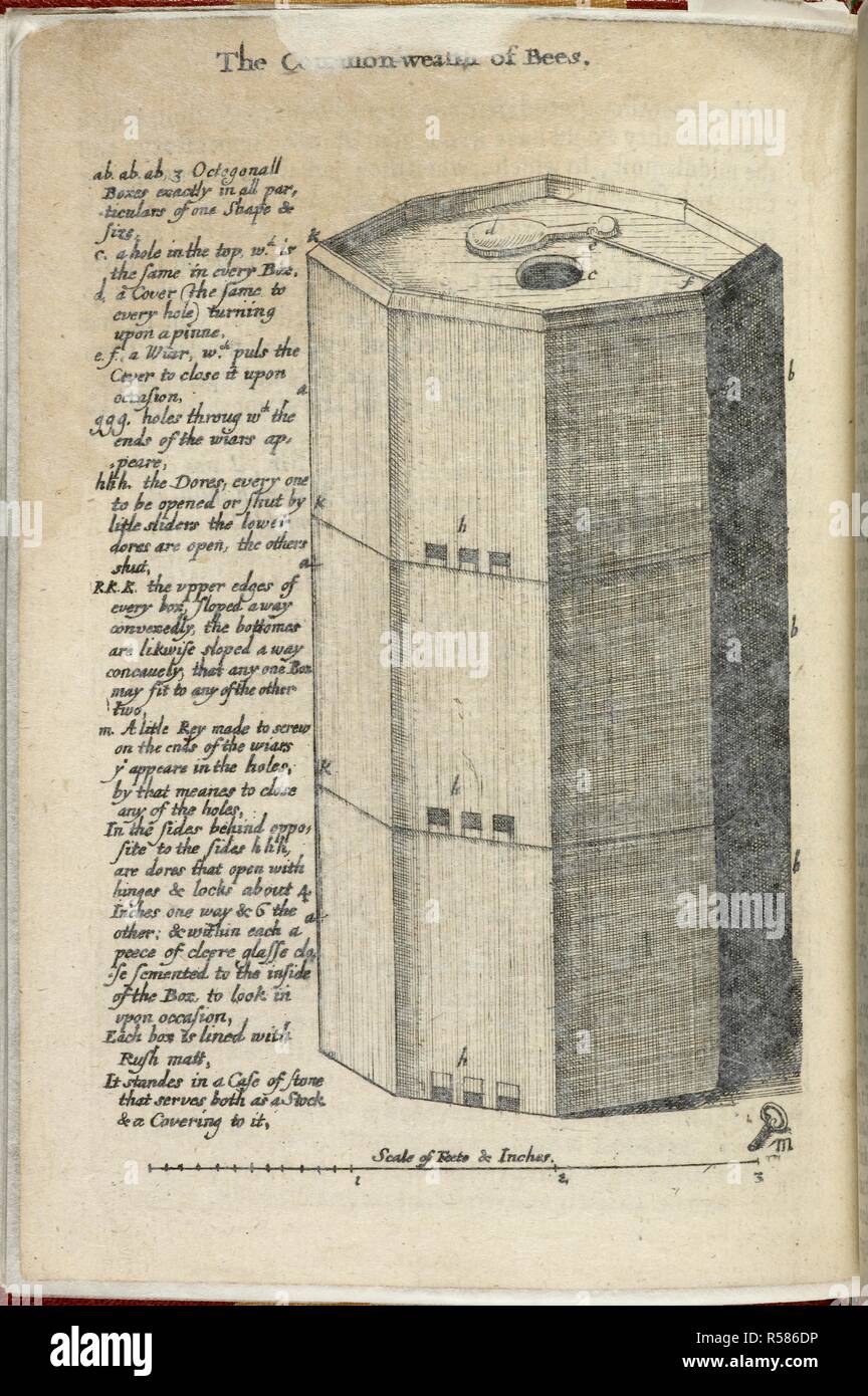 Secrets of the beehive hi-res stock photography and images - Alamy