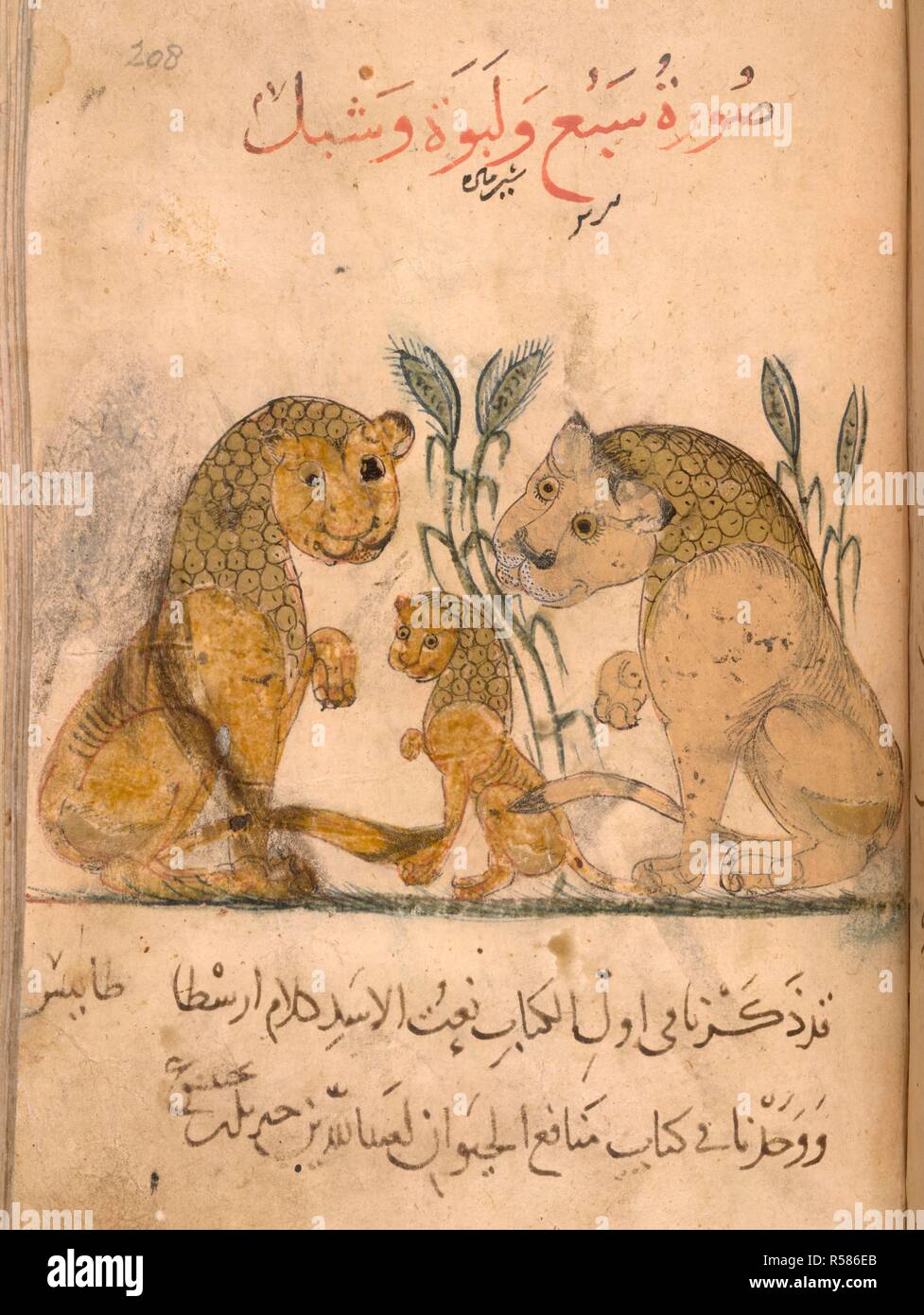 Kitab al hayawan hi-res stock photography and images - Alamy