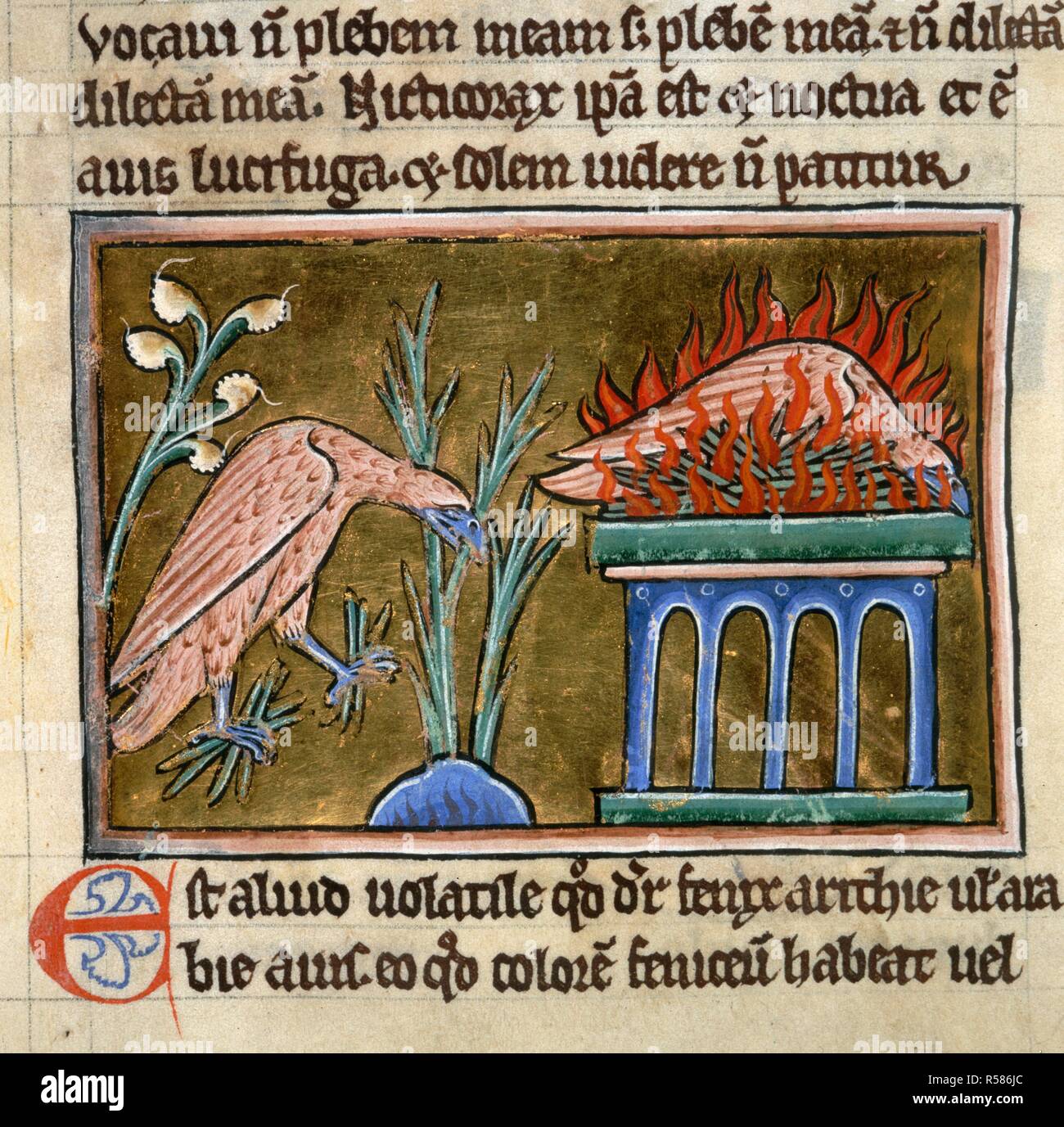 Spices in art miniature hi-res stock photography and images - Alamy