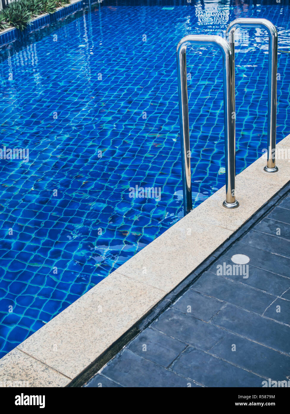 Grab bars ladder in swimming pool vertical style. Swimming pool stairs ...