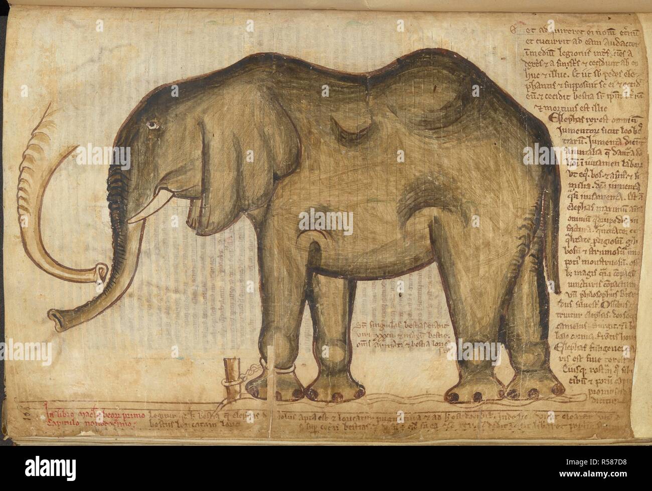 Henry kept in hi-res stock photography and images - Alamy