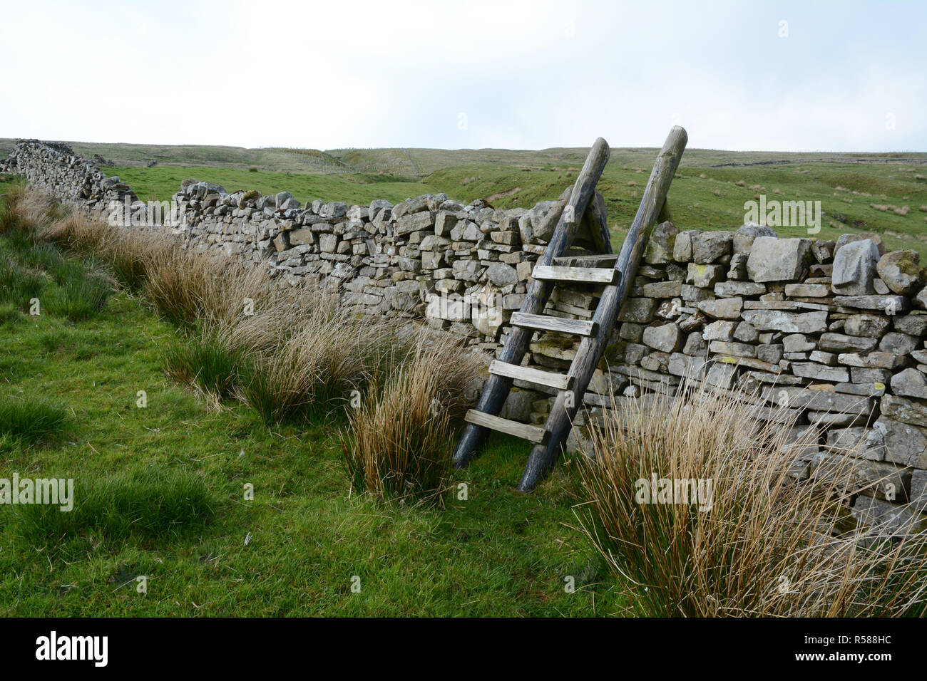 Wooden Rock Ladder High Resolution Stock Photography and Images - Alamy