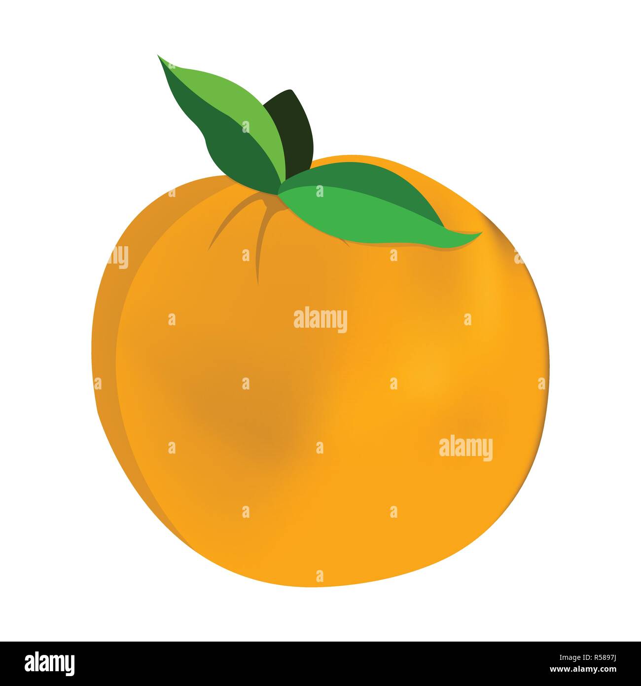 Orange Icon. Food with Healthy Fats and Oils. Cartoon Vector ...