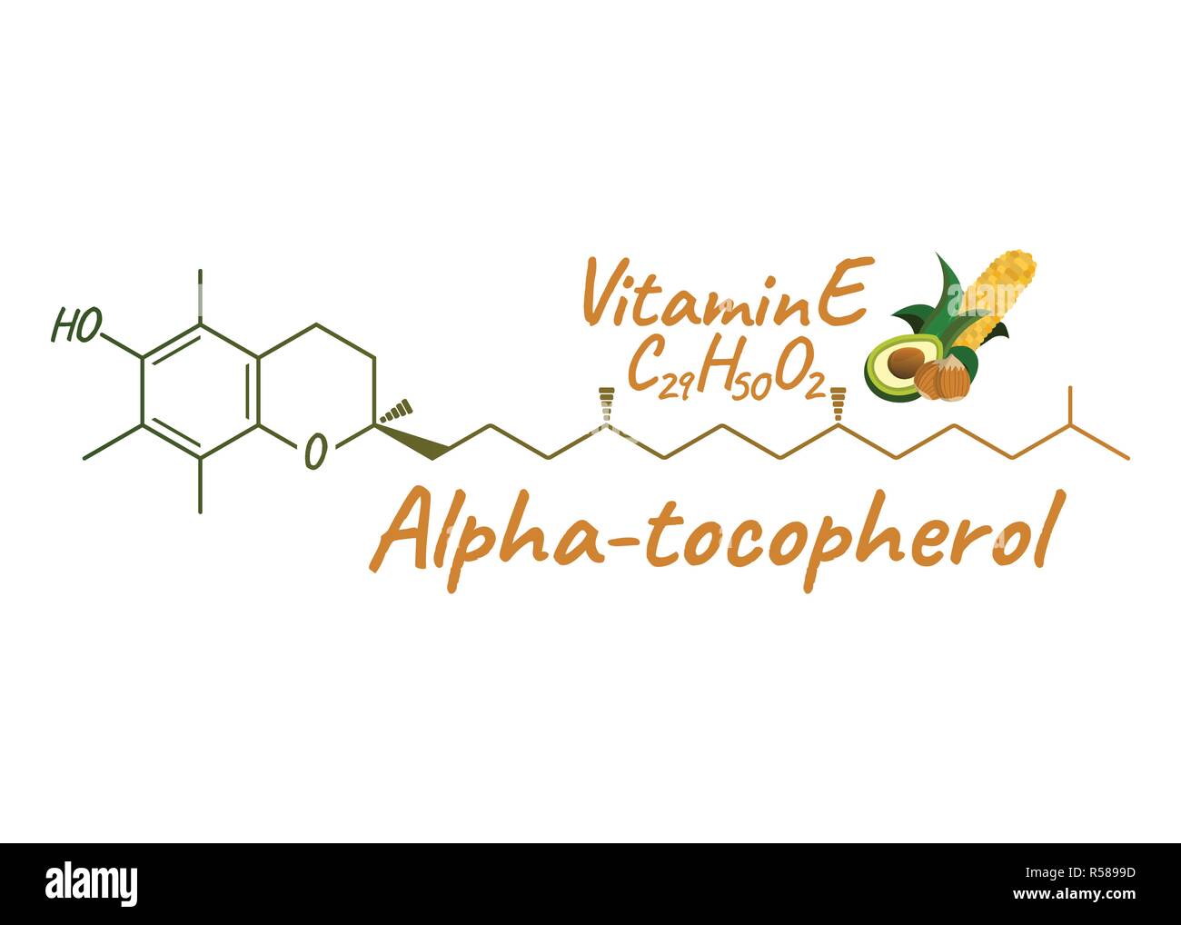 Vitamin E with Food Label and Icon. Chemical Formula and Structure Logo ...