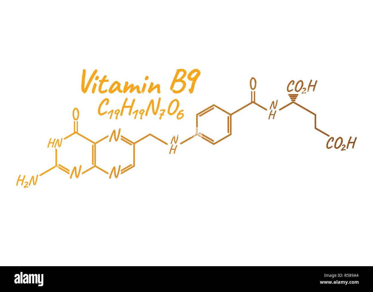Vitamin B9 Label and Icon. Chemical Formula and Structure Logo. Vector ...