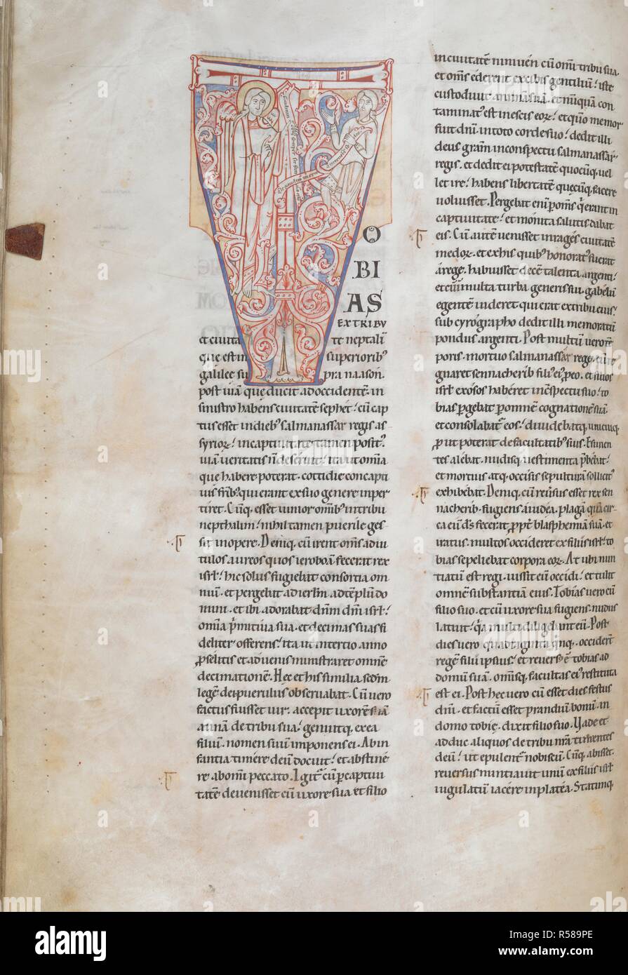 Winged worms hi-res stock photography and images - Alamy