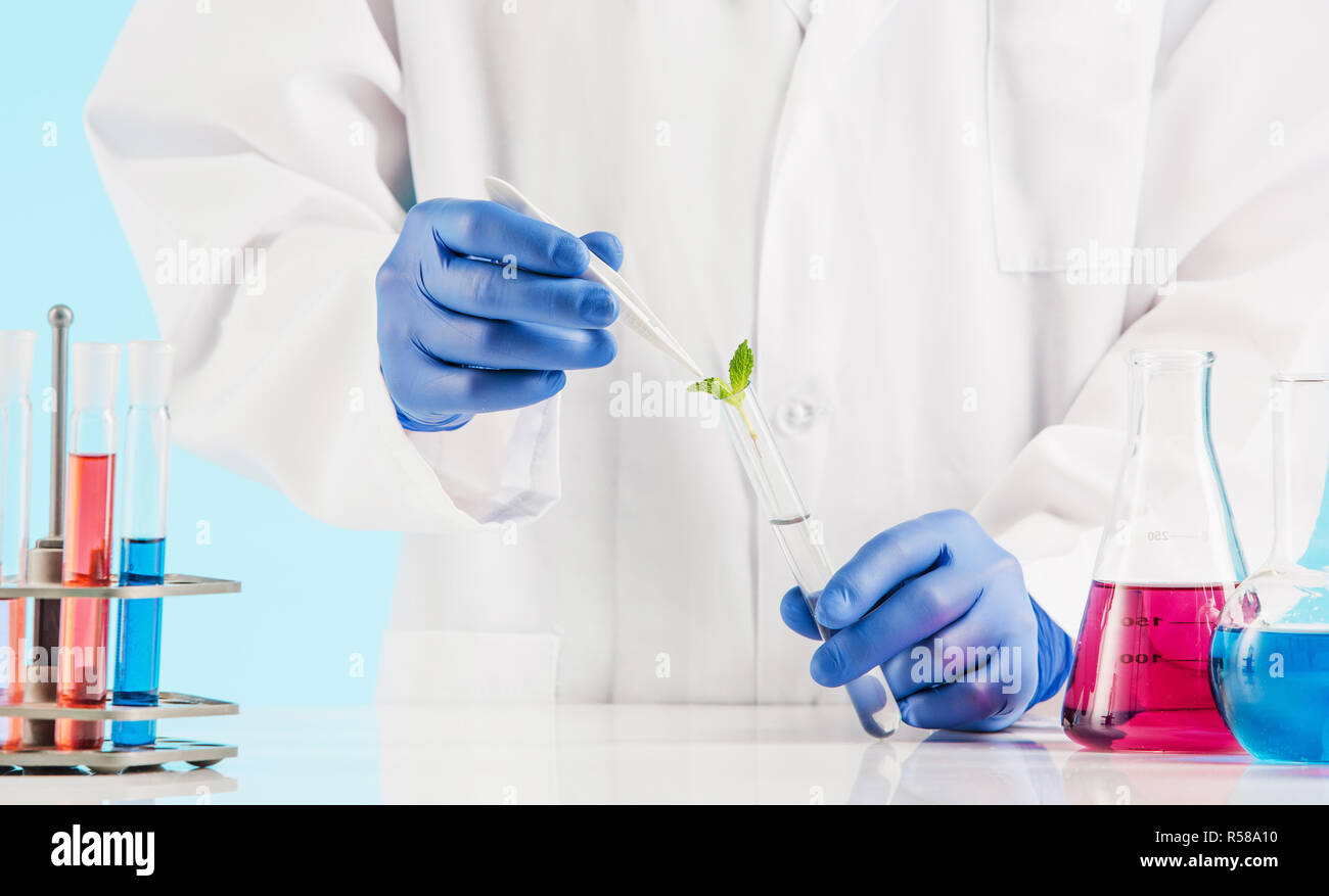 Plant sciences in lab Stock Photo - Alamy