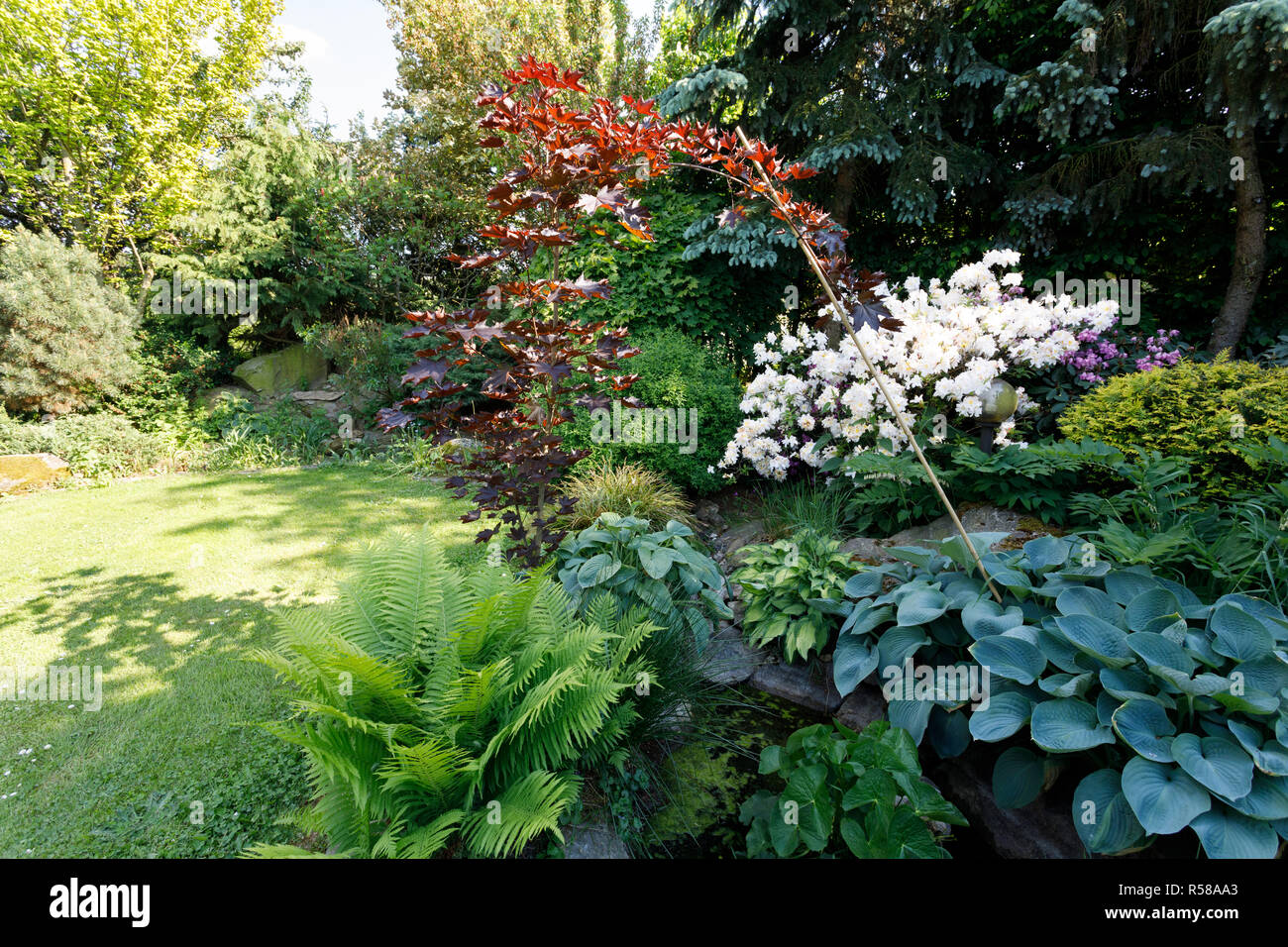 colorful spring garden Stock Photo - Alamy
