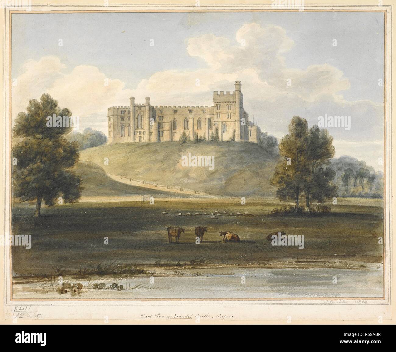 East View of Arundel Castle, Sussex. Cattle grazing by a body of water ...