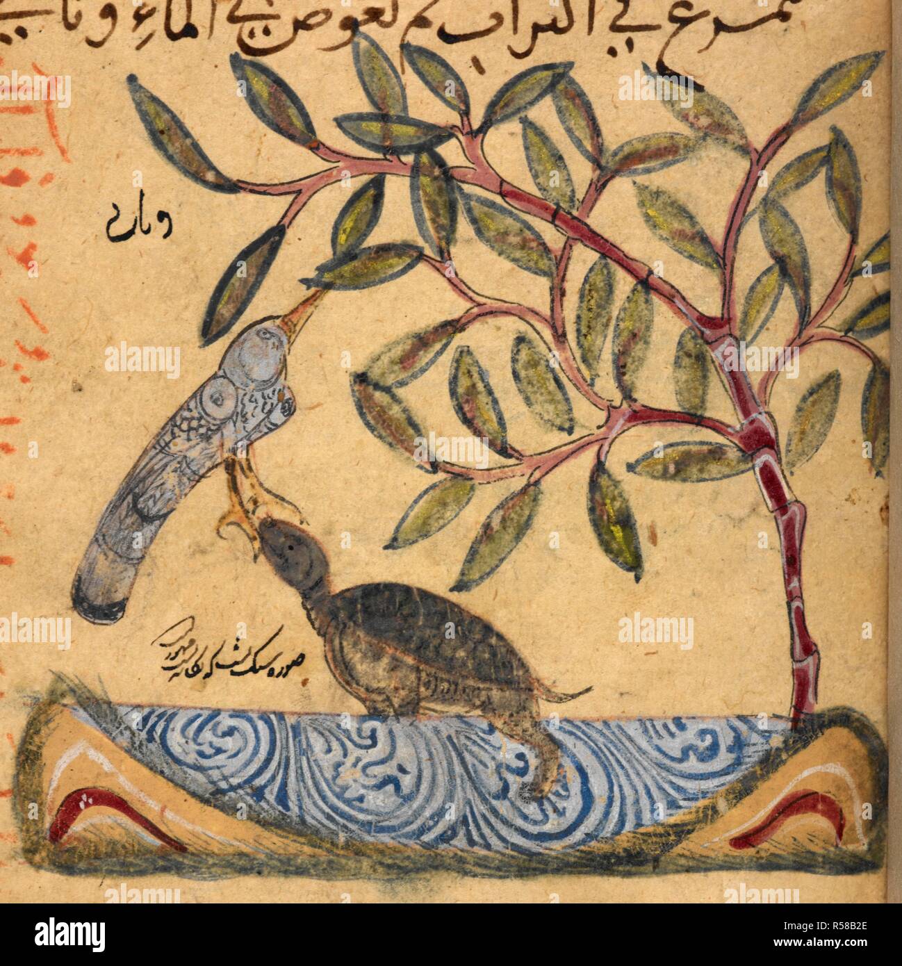 Kitab al hayawan hi-res stock photography and images - Alamy