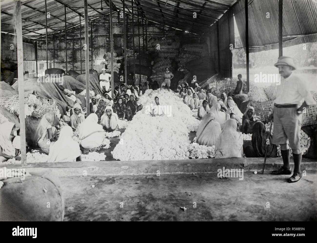 Ginning industry: Female labourers working in Ginning Factory (M/s P.S ...