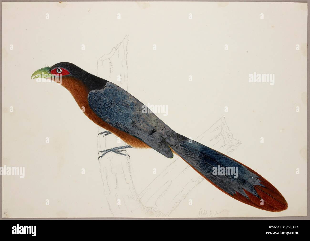 1824 36 hi-res stock photography and images - Alamy