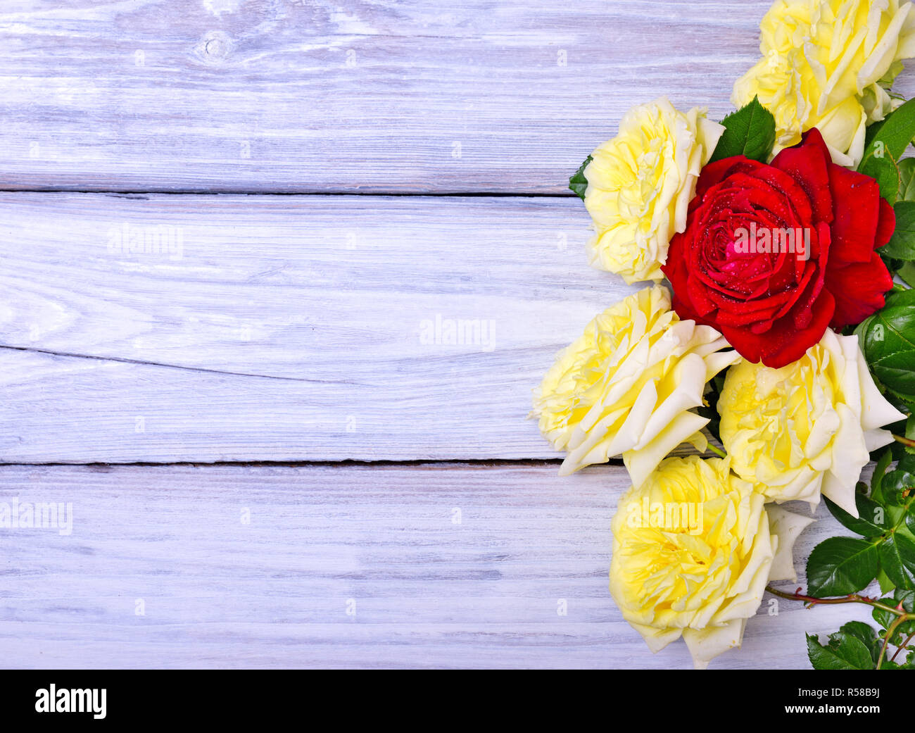 bouquet of blooming yellow and red roses Stock Photo - Alamy