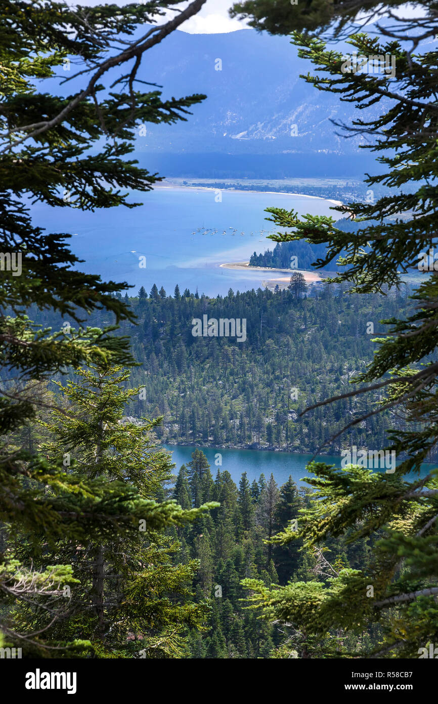 Peek Through The Trees Stock Photo - Alamy