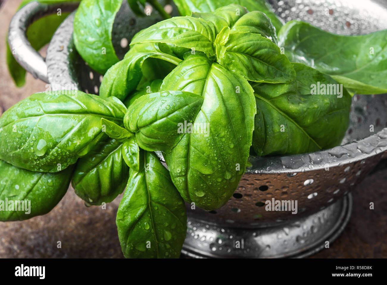 fresh green basil leaves Stock Photo - Alamy