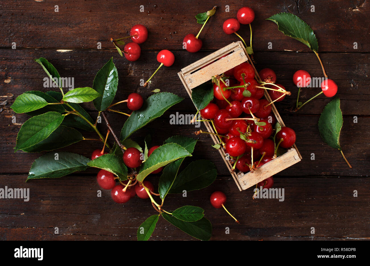 Fresh sour cherries Stock Photo - Alamy