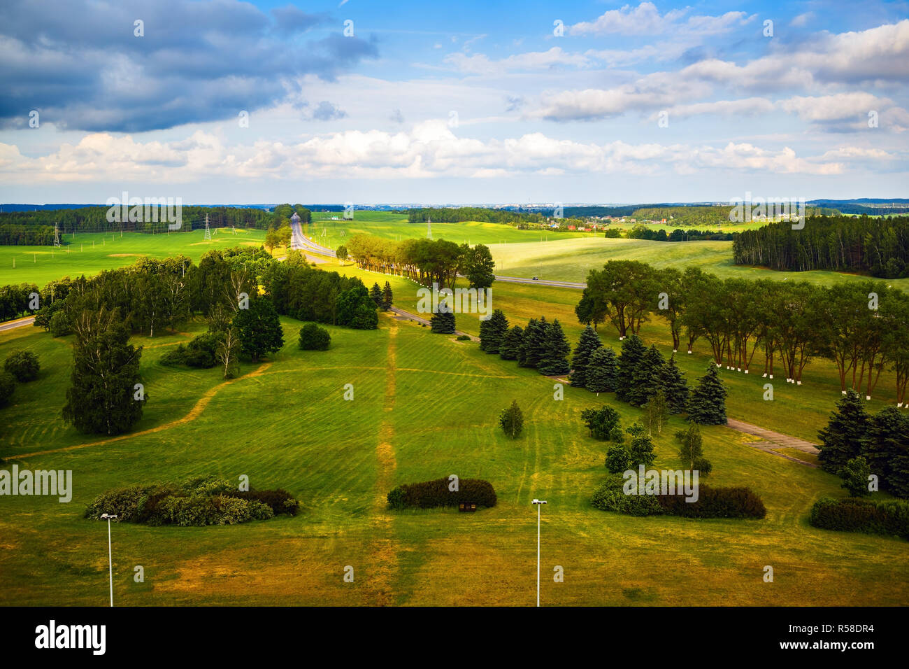 Summer green with fat trees hi-res stock photography and images - Alamy