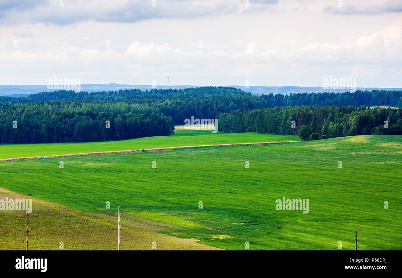 Fields and forest Stock Photo - Alamy