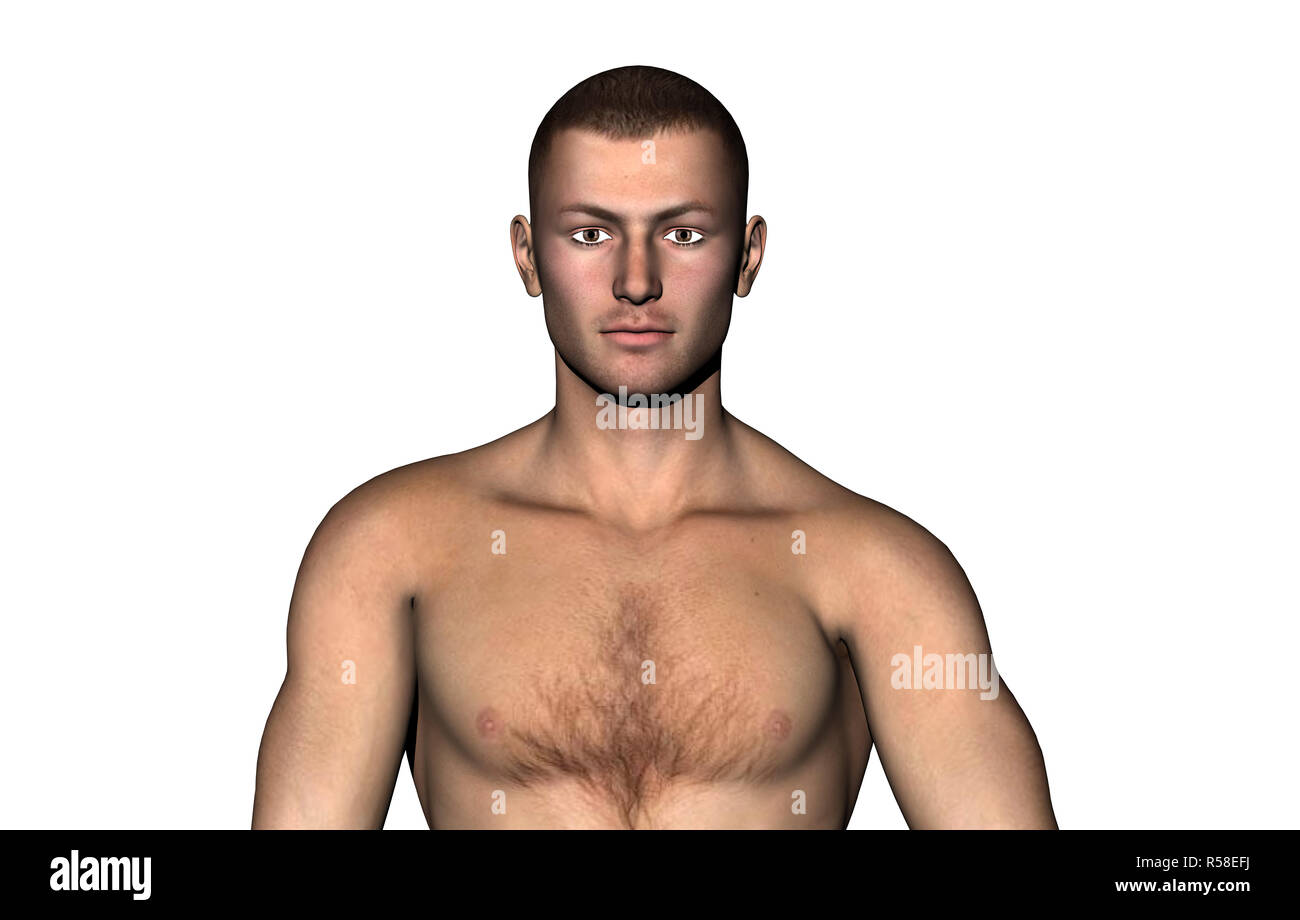athletic man anatomy isolated Stock Photo - Alamy