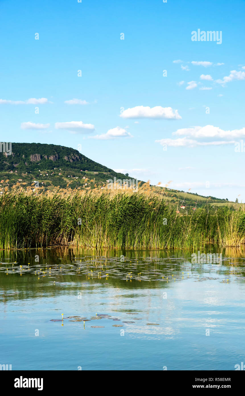 Landscape of Lake Balaton, Hungary Stock Photo - Alamy