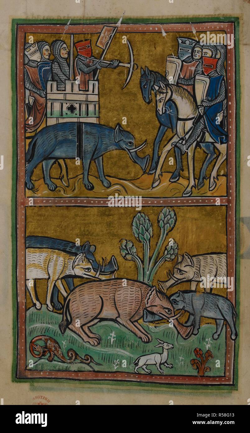 A battle scene with an elephant in the foreground. Below, a group of ...