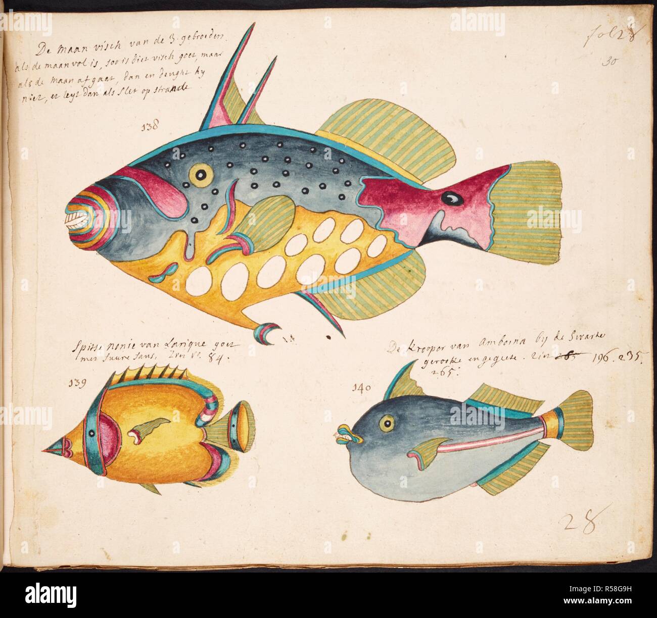 Louis renard hi-res stock photography and images - Alamy