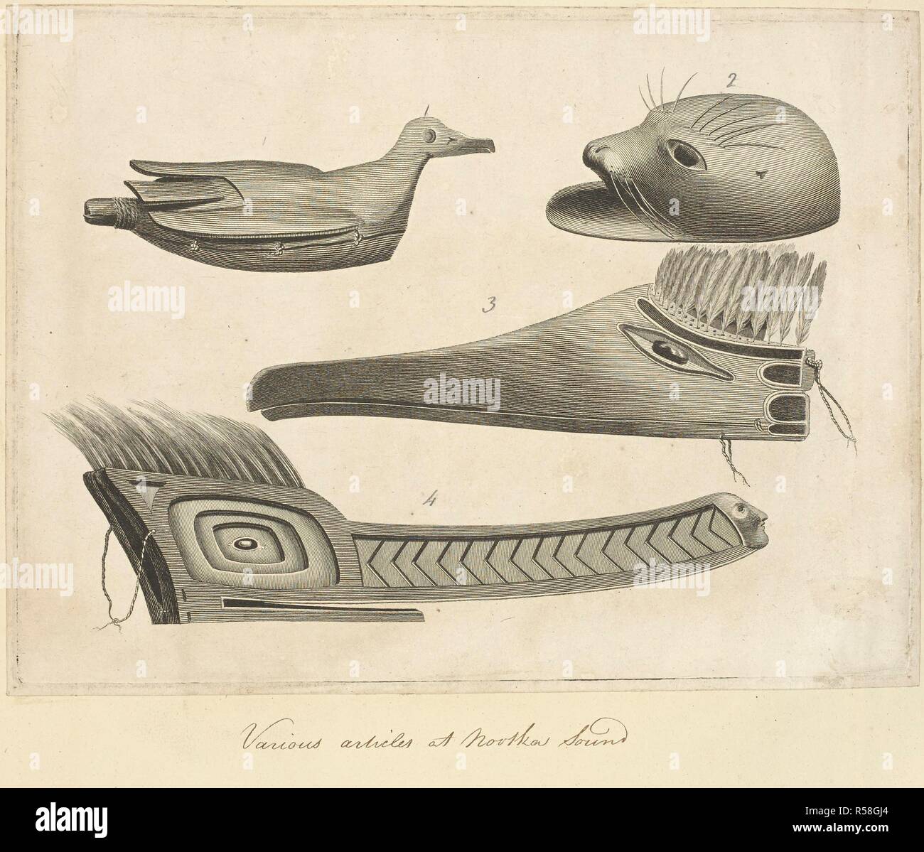 Bird mask captain cook hi-res stock photography and images - Alamy