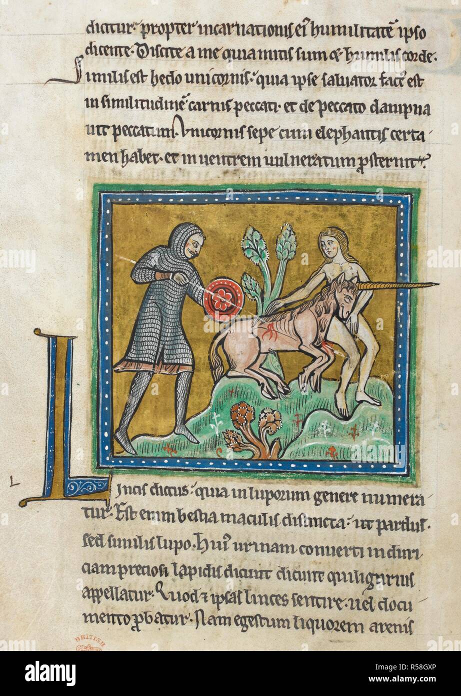 Bestiary unicorn hi-res stock photography and images - Alamy