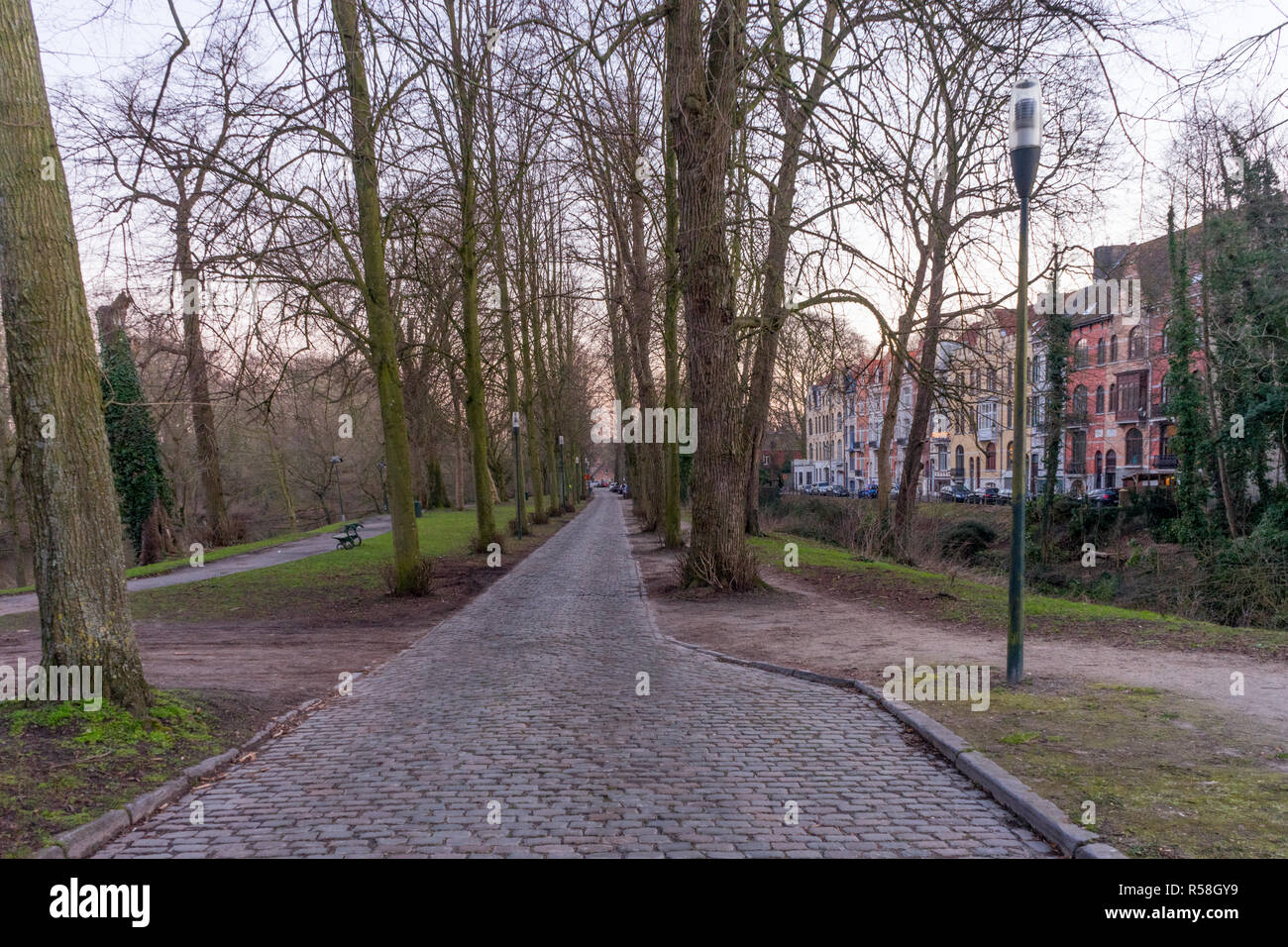 Belgium, Bruges, barren trees along a pathway Stock Photo - Alamy