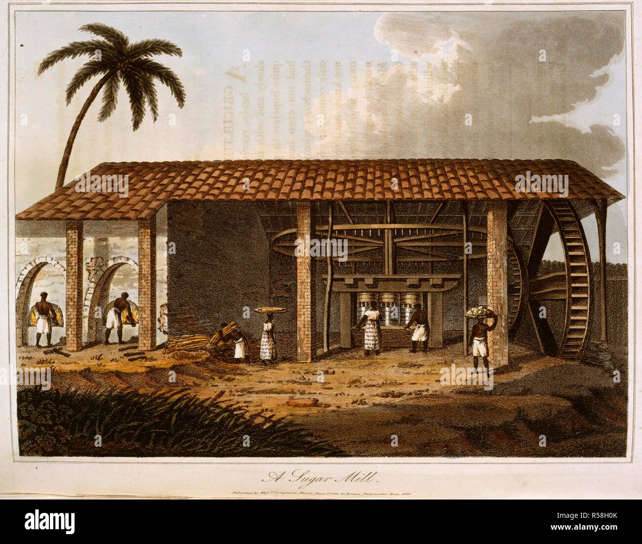 Slaves working in sugar mill hi-res stock photography and images - Alamy