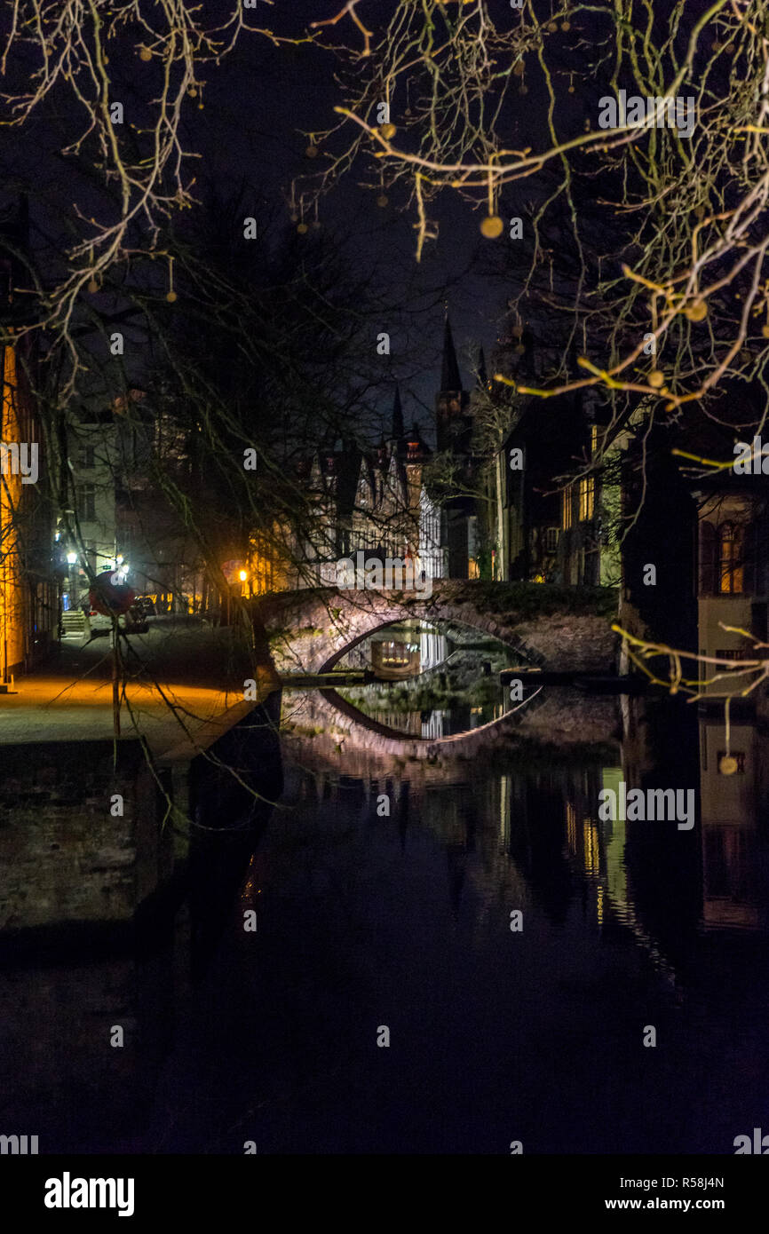 Europe, Belgium, Bruges, a tree lit up at night Stock Photo - Alamy