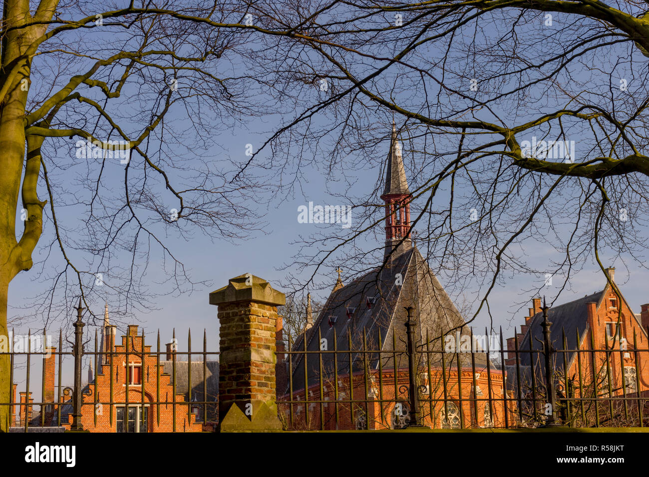 Tree next to building hi-res stock photography and images - Alamy