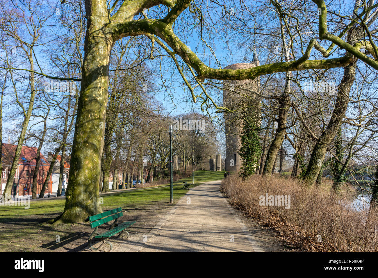 Bruges forest hi-res stock photography and images - Alamy