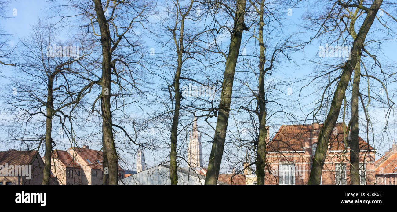 Bruges forest hi-res stock photography and images - Alamy