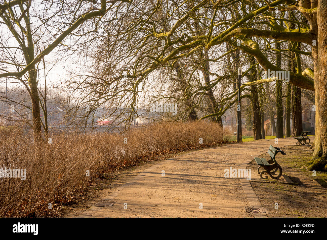 Bruges canal cycle hi-res stock photography and images - Alamy