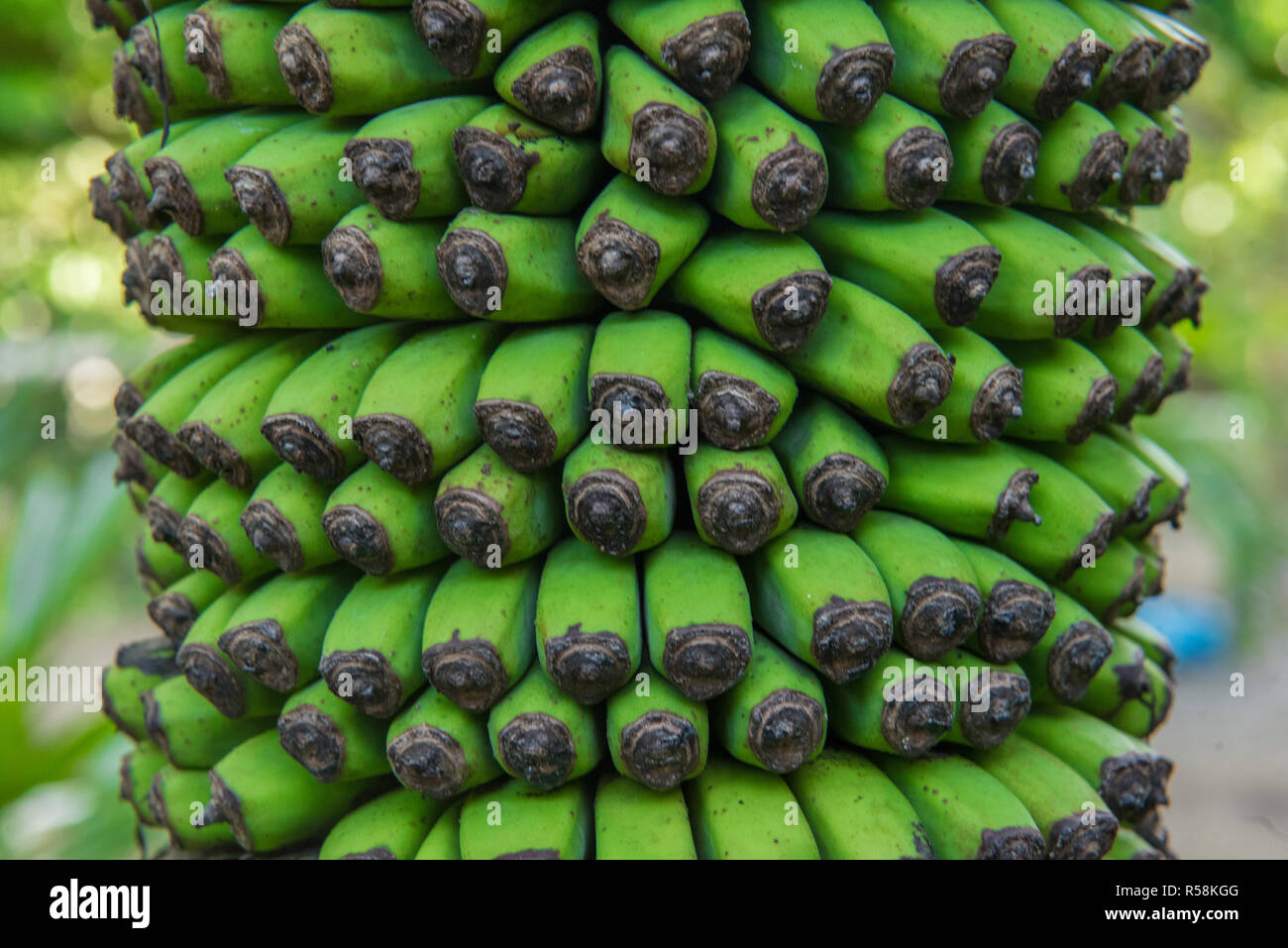 Agricultural Activity High Resolution Stock Photography and Images - Alamy