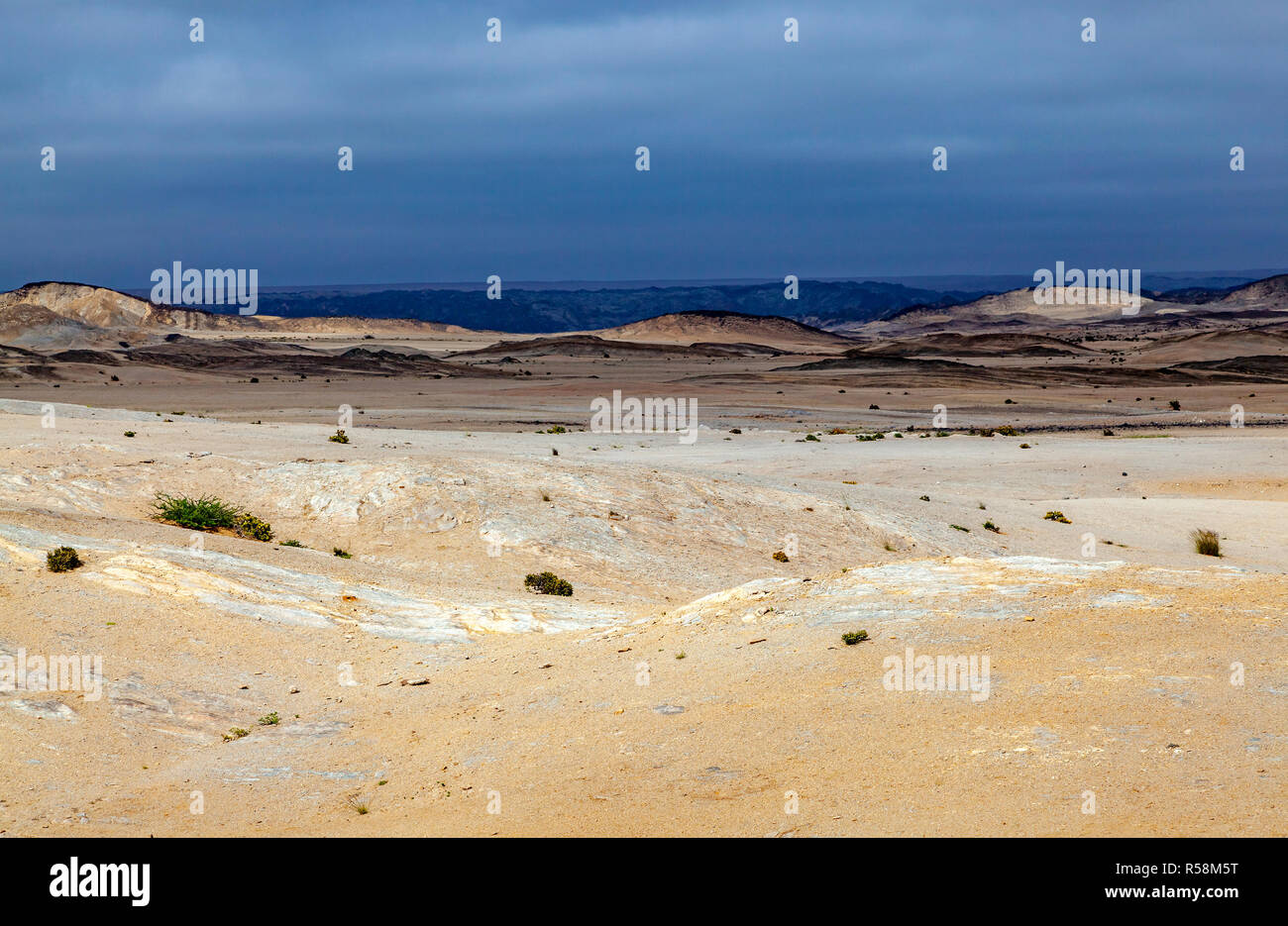 Desolation with only a few hardy plants in the arid Namib desert on the ...