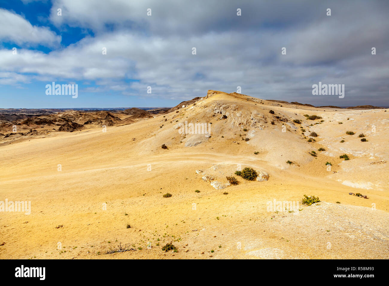 Desolation with only a few hardy plants in the arid Namib desert on the ...
