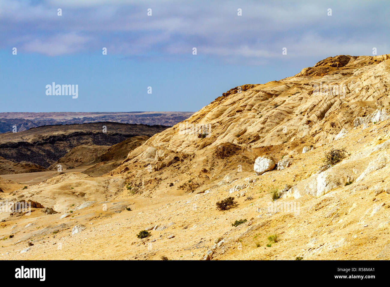 Desolation With Only A Few Hardy Plants In The Arid Namib Desert On The Skeleton Coast Of